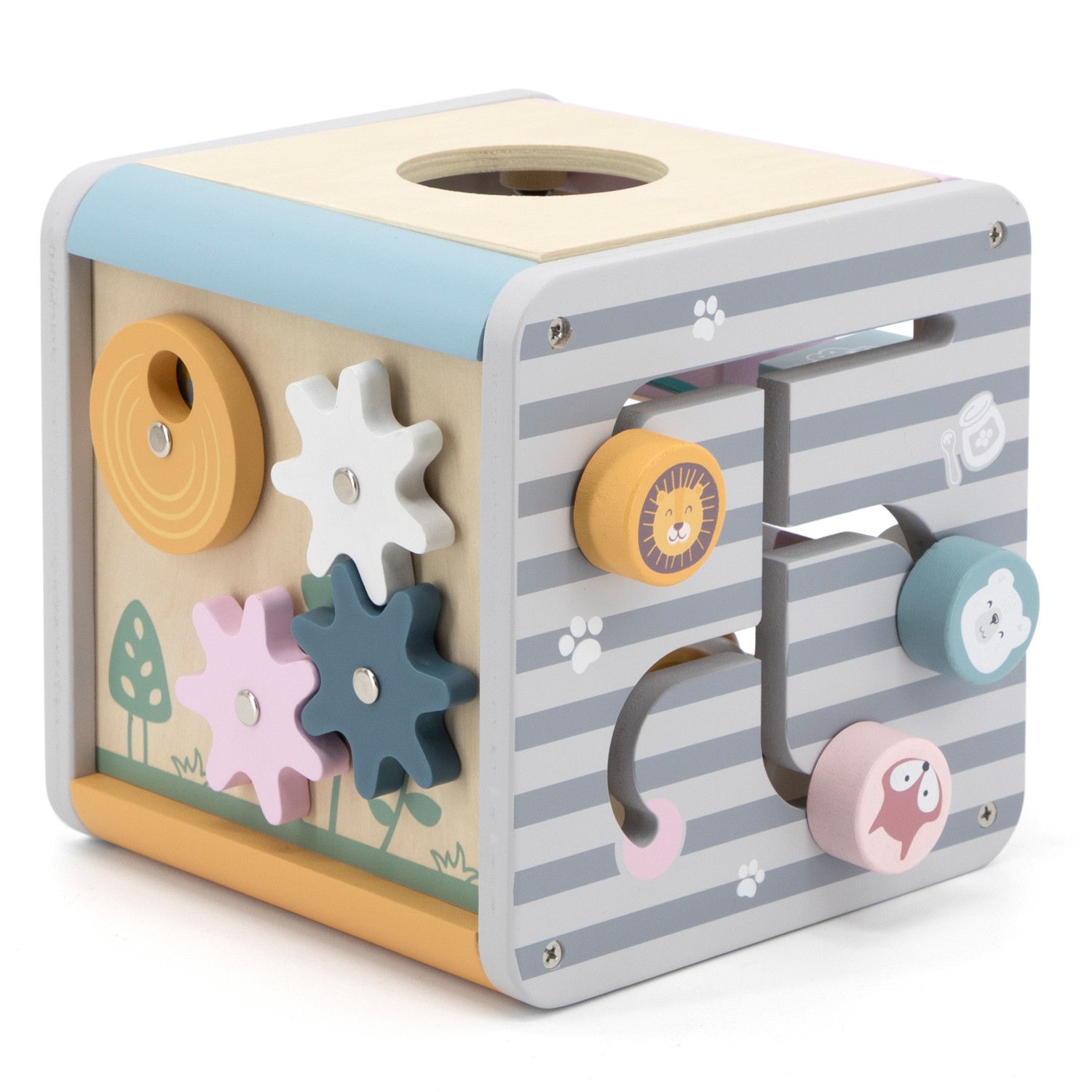 5-in-1 activity box | New Classic Toys